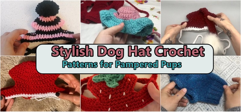 Crochet Dog Hat Patterns