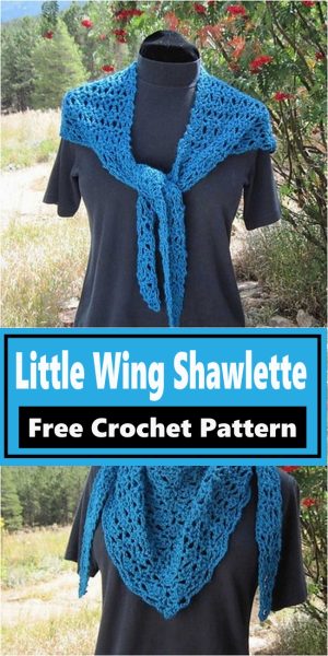 Wings Shawl Crochet Patterns