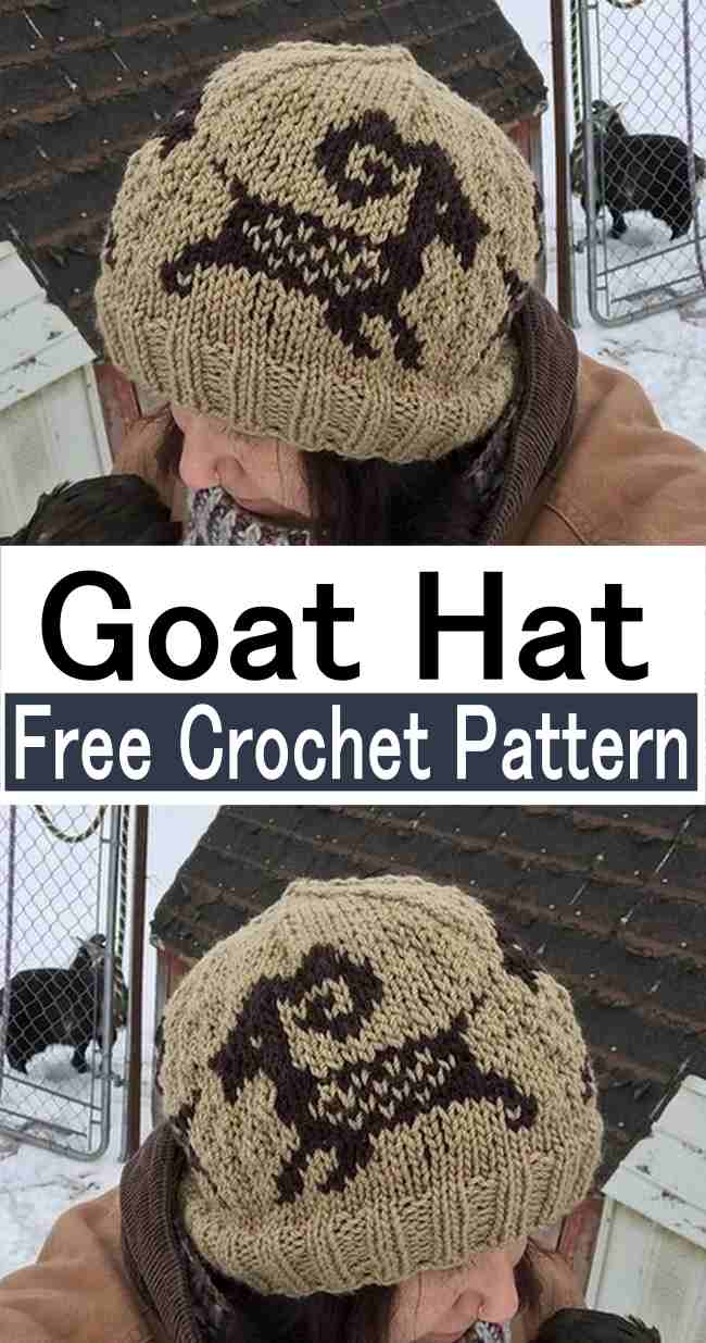 Cozy Goat Hat